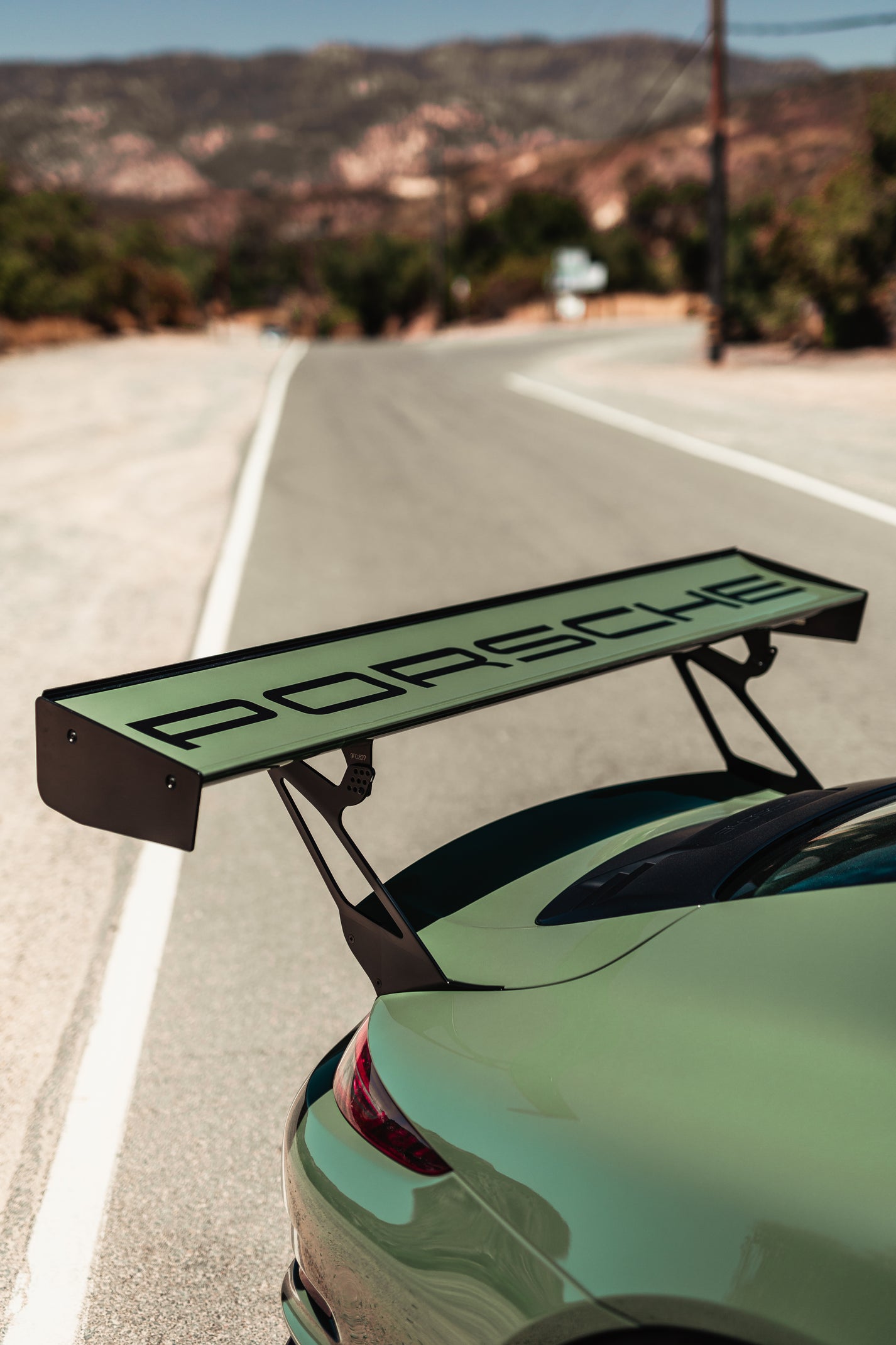 True Performance Cup Wing Uprights (991 GT3RS, 991.2 GT3RS, GT2RS ...